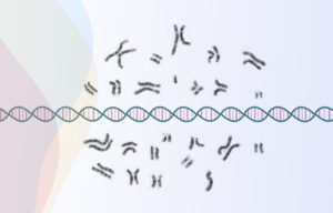 10 Types of DNA Tests Everyone Should Know! – Genetic Education