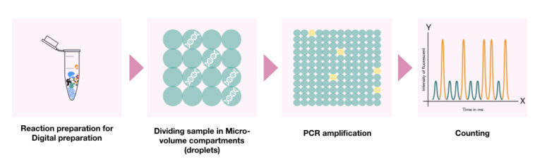 10 SNP Genotyping Techniques – Genetic Education