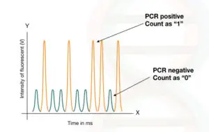 What Is Digital PCR? How Does It Work?