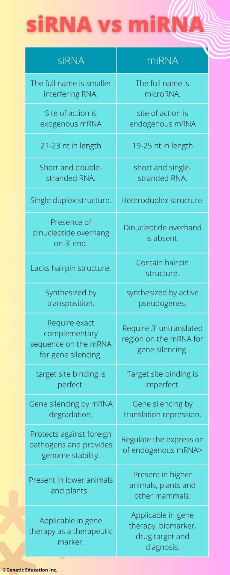 siRNA vs miRNA: 10 Major Differences