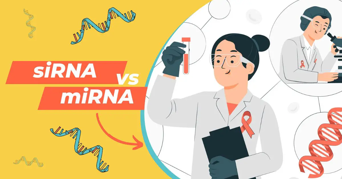 siRNA vs miRNA: 10 Major Differences