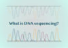 What Is DNA Sequencing? A Beginners Guide