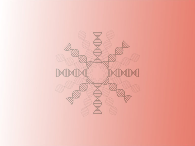 The Process of cDNA Synthesis and cDNA Library Preparation