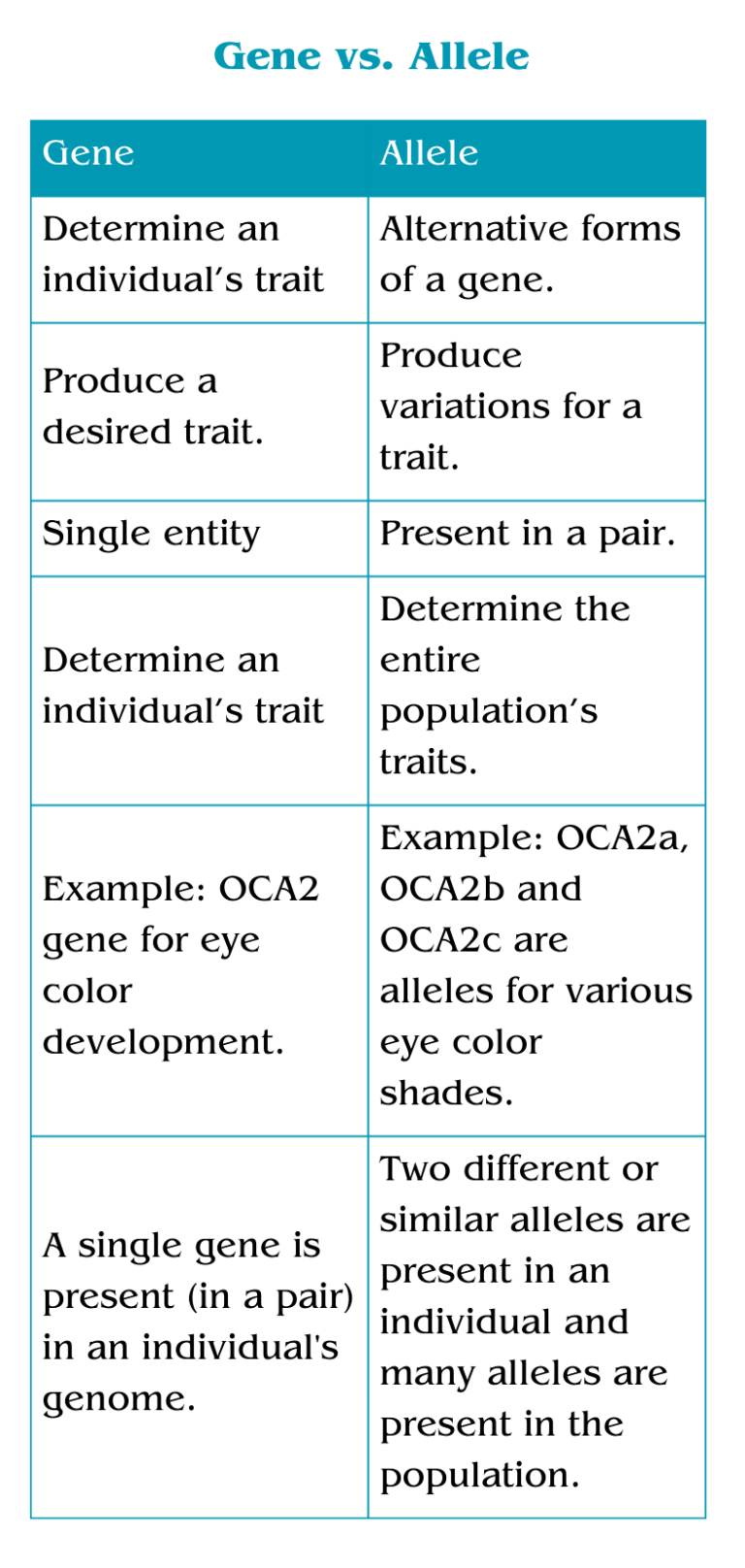 Gene vs Allele: Key Genetic Concepts Simplified