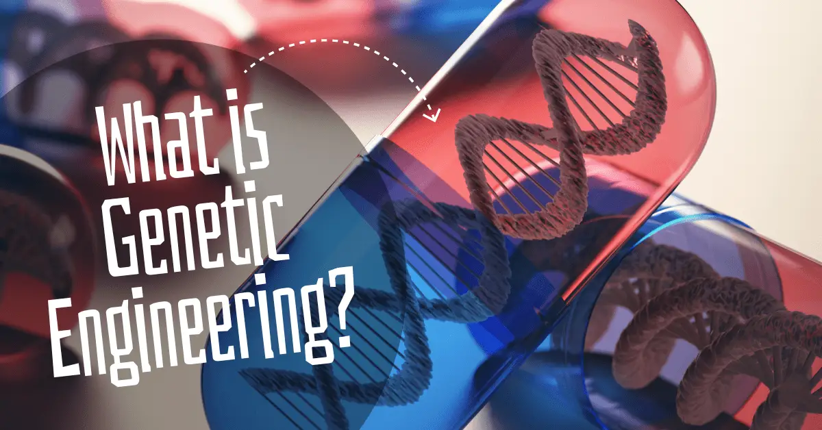 Genetic Engineering in 2025- Definition, History, Process and Applications