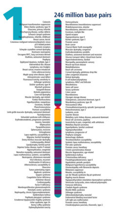 Introduction To Chromosome 1