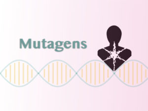 Mutagen: Definition, Types And Effect