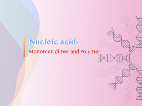 Nucleic Acid- Monomer, Dimer And Polymer