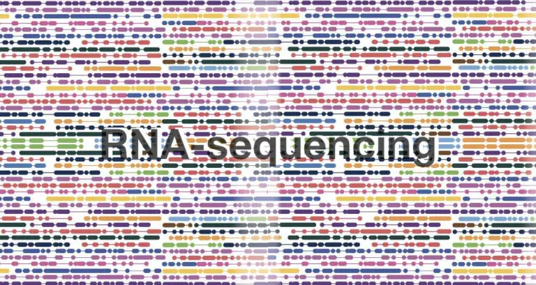RNA Sequencing- Principle, Steps, Methods And Applications RNA Sequencing- Principle, Steps, Methods And Applications