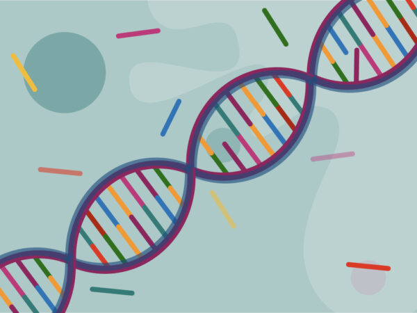 Tumor Suppressor Genes- Definition, Explanation and List of Genes ...
