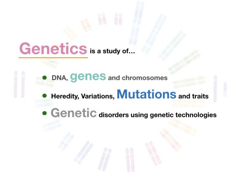 Definition Of Genetics And Related Terminologies – Genetic Education