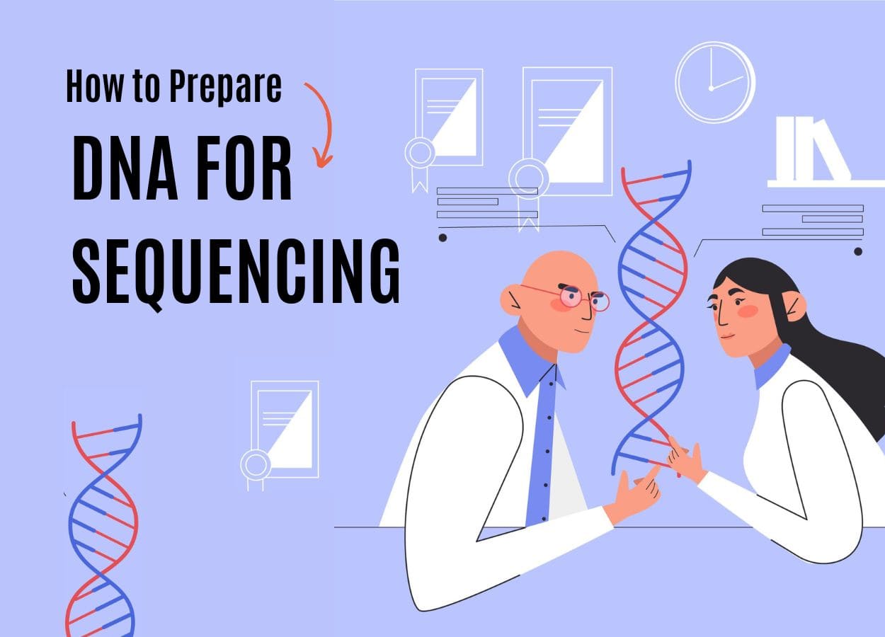 How to Prepare DNA For Sequencing or NGS? – Genetic Education