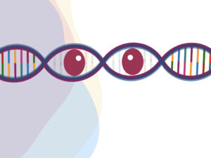 Eye Colour Genes and Genetics – Genetic Education