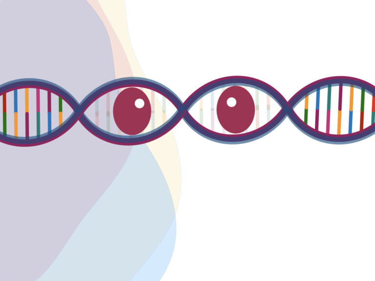 Eye Colour Genes and Genetics – Genetic Education