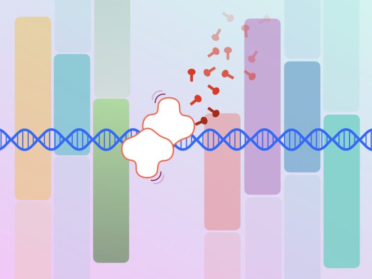 DNA Synthesis: Process, Importance and Direction – Genetic Education
