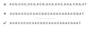 What is The Genetic Code?- Definition, Properties, Chart and Table ...