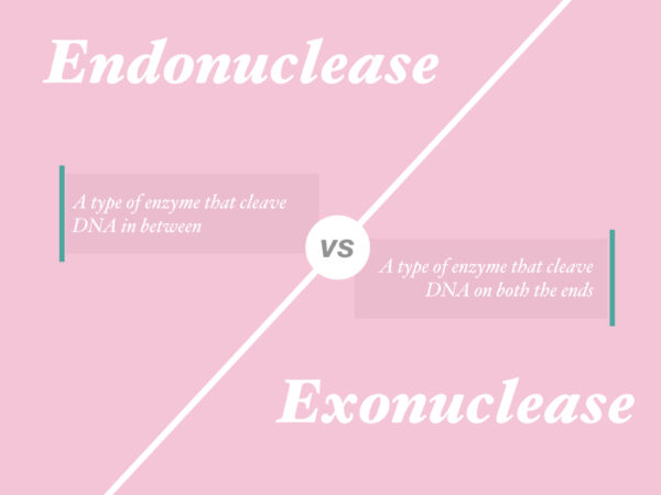 Understanding What Causes Genetic Disorders- 15 Key Mechanisms – Genetic Education