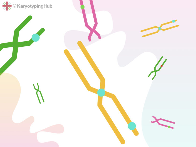 The Function of dNTPs in PCR reaction