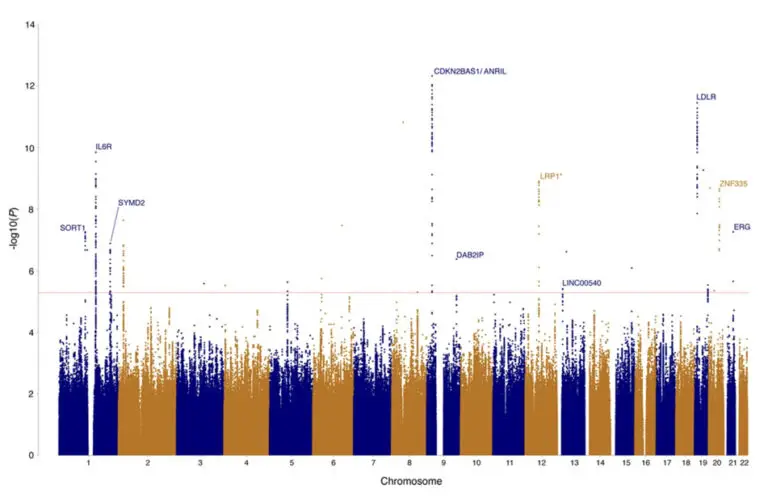 What Is An Snp Array A Brief Overview Genetic Education