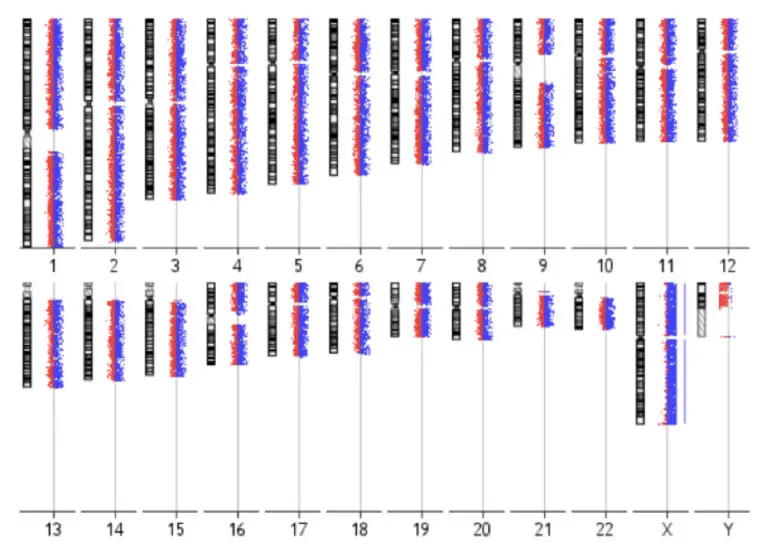 What Is An Snp Array A Brief Overview Genetic Education