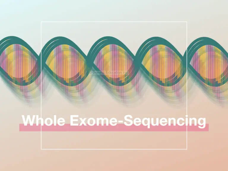 What Is Whole Exome Sequencing Genetic Education