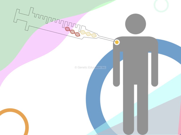 Gene Transfer Techniques- Horizontal, Vertical, Physical and Chemical ...