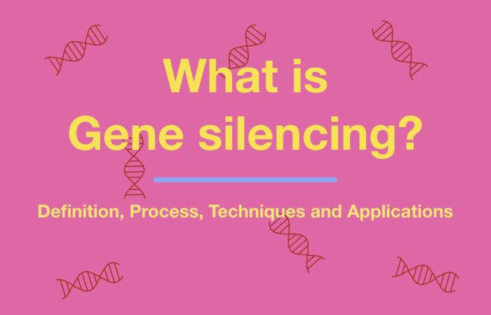 What is Gene Silencing?- Definition, Process, Techniques and ...
