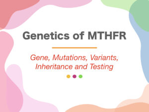 Genetics of MTHFR: Gene, Mutations, Variants, Inheritance and Testing ...