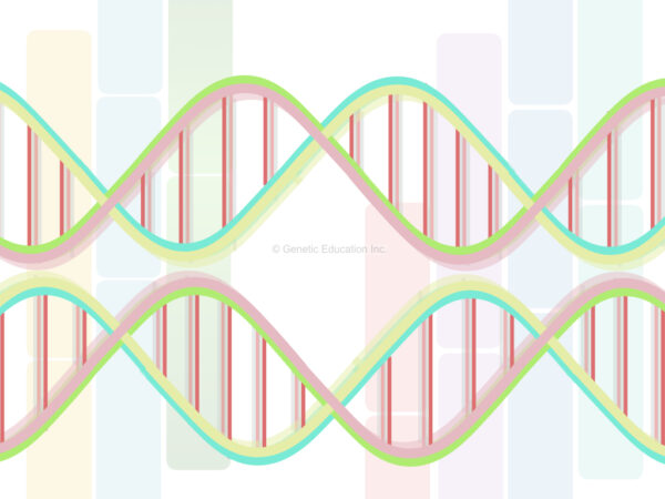 What is DNase?- Definition, Structure, Function and Types – Genetic ...