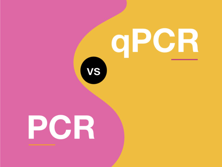 Differences between PCR vs qPCR – Genetic Education