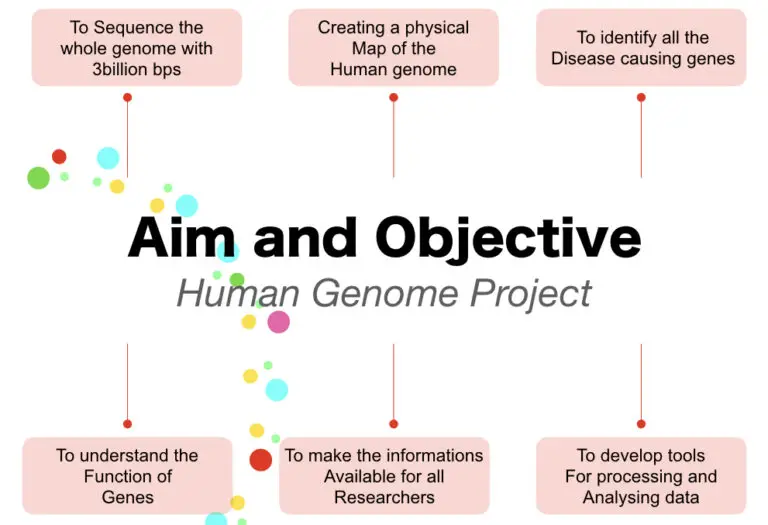The Human Genome Project: Aims, Objectives, Techniques and Outcomes ...
