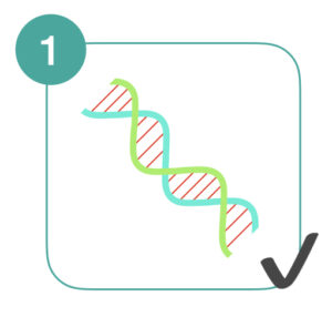 Gene cloning: Definitions, Steps, Procedure, Applications and ...