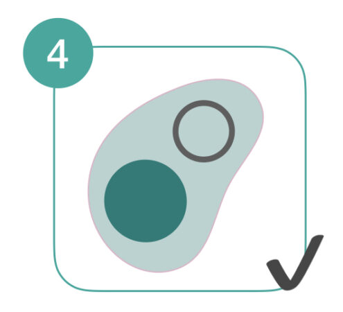 Gene cloning: Definitions, Steps, Procedure, Applications and ...