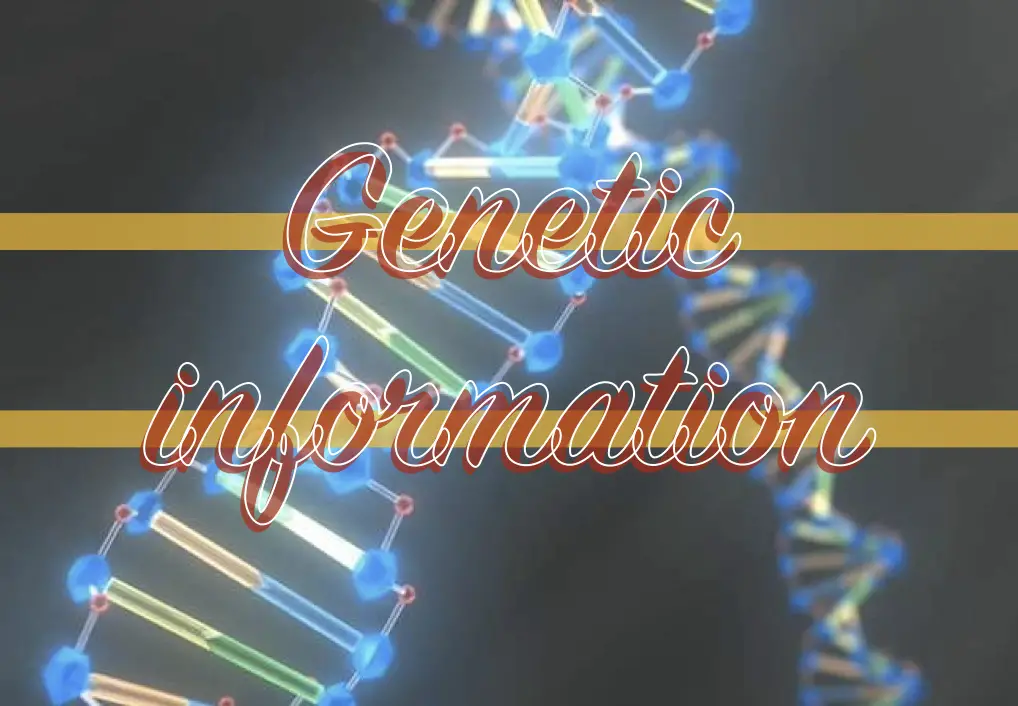 Genetic Education — How epigenetic alteration helps us evolving and...