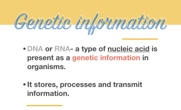Why is Genetic Information so Important? – Genetic Education