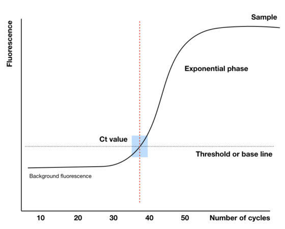 Explaining the Ct value (Threshold Cycle) of qPCR – Genetic Education Explaining the Ct value (Threshold Cycle) of qPCR – Genetic Education