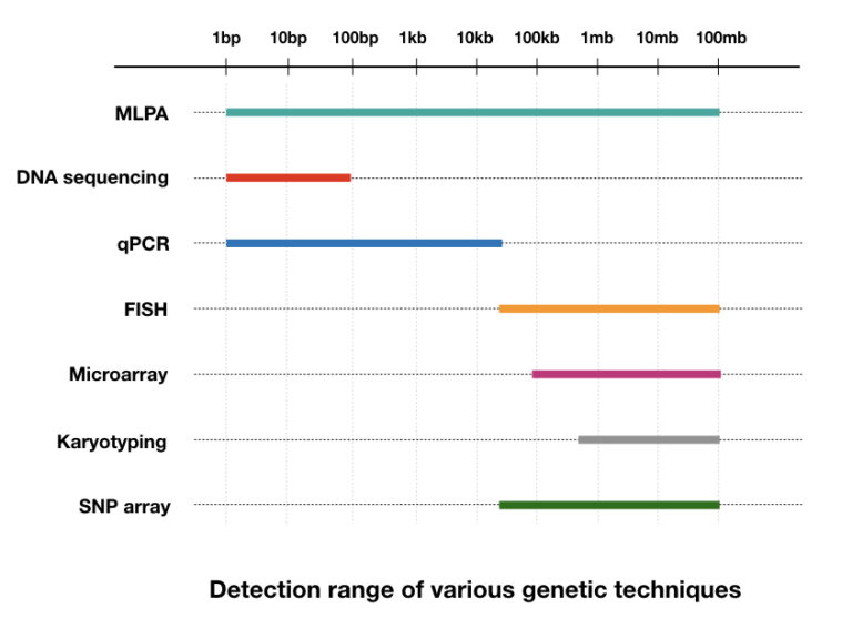 MLPA- Multiplex Ligation-dependent Probe Amplification- Process and ...