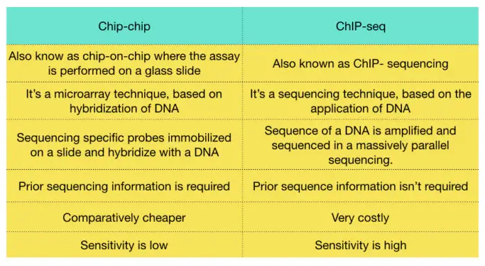 The Concept of ChIP-Seq (ChIP-Sequencing) Explained – Genetic Education