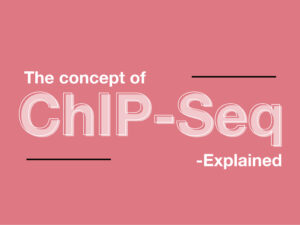 The Concept of ChIP-Seq (ChIP-Sequencing) Explained – Genetic Education