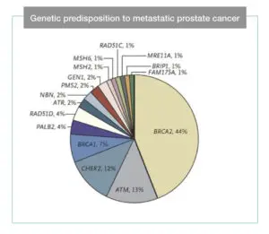 What is Genetic Predisposition?-Definition, Mechanism and Test ...