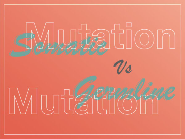 What is Somatic and Germline Mutation? – Genetic Education