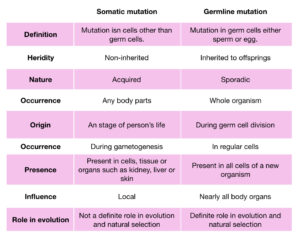 What is Somatic and Germline Mutation? – Genetic Education