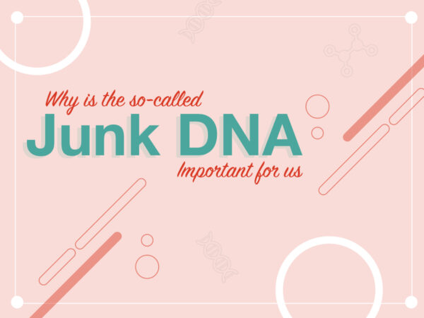 Why is the "so-called" Junk DNA Important for Us? – Genetic Education