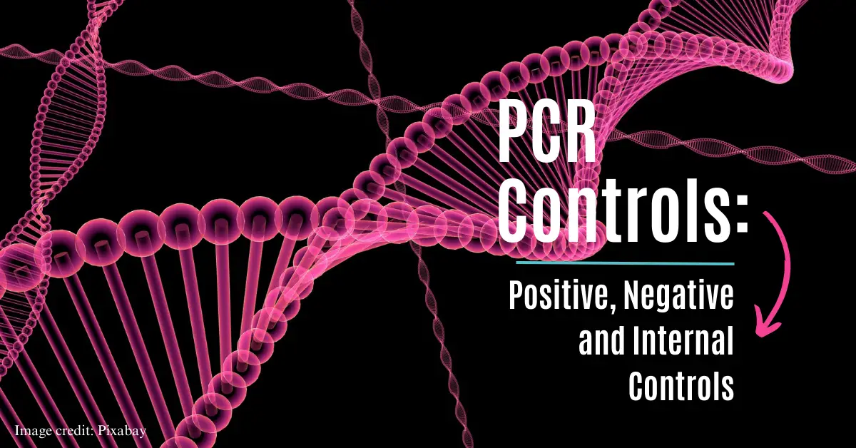 Type of PCR Controls- Negative, Positive and Internal Controls ...