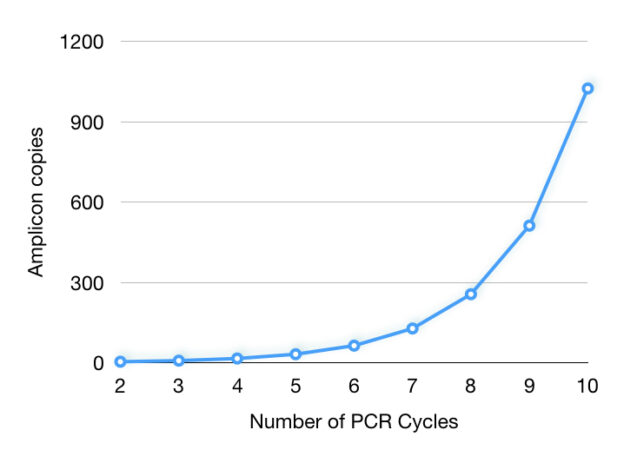 Optimizing PCR Cycles to Get Good Results – Genetic Education