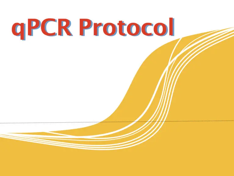 Easiest qPCR Protocol using TaqMan Probe and SYBR Green Dye – Genetic ...