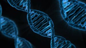 Process to Denature DNA- Definition, Importance, Techniques and ...