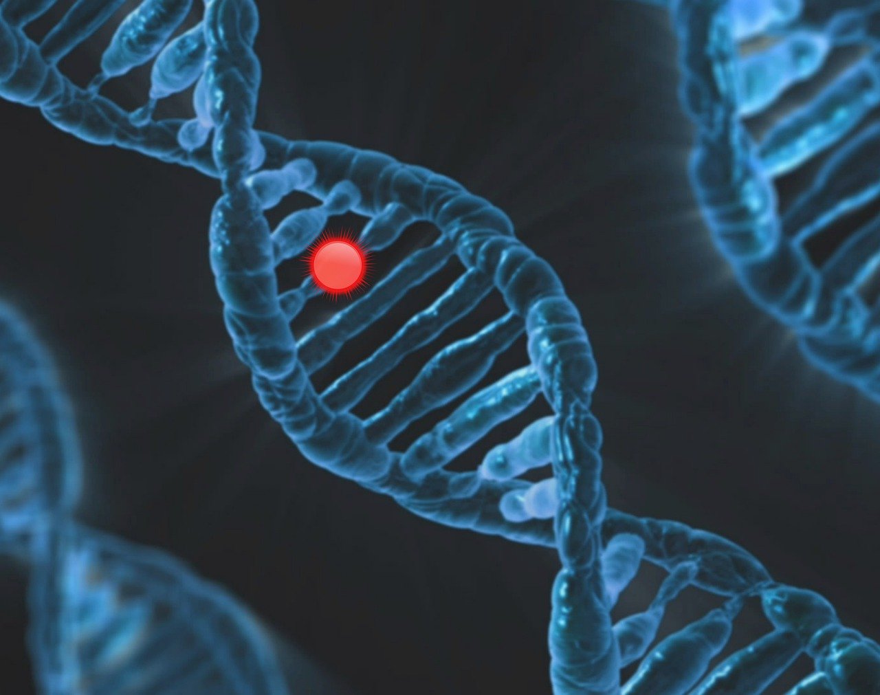What is CRISPRi or CRISPR interference? – Genetic Education