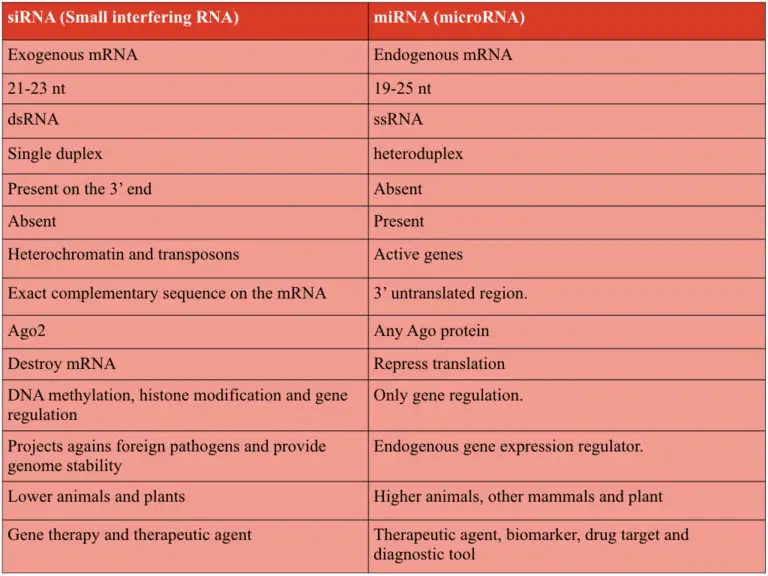 siRNA vs miRNA: 10 Major Differences