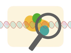 What is Gel Shift Assay or EMSA? – Genetic Education